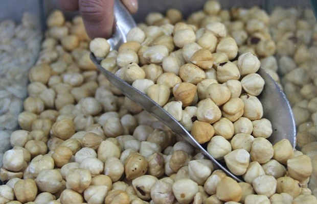 KALBİNİZİ VE BEYNİNİZİ FINDIK YİYEREK KORUYUN